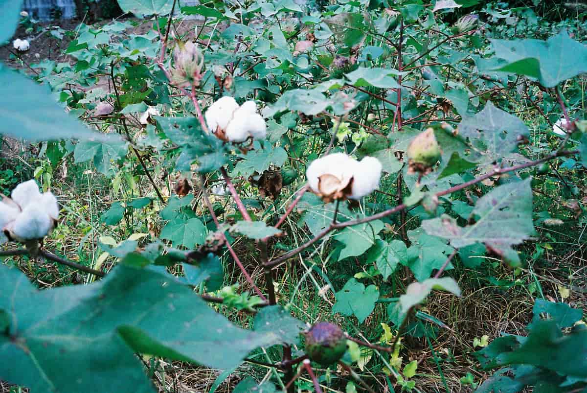 公式オンラインストア | HiKEI